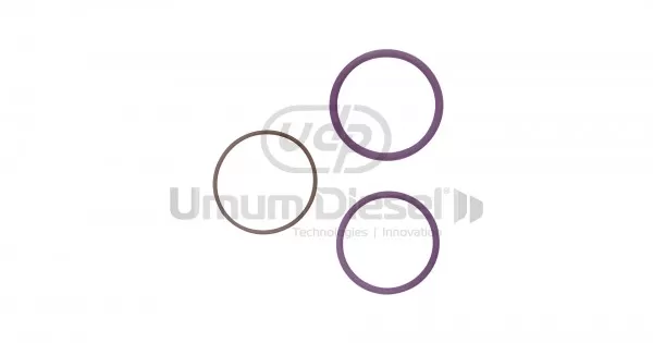 Delphi Eui Volvo Oring F12 7135-488 | Umum Diesel - UDP