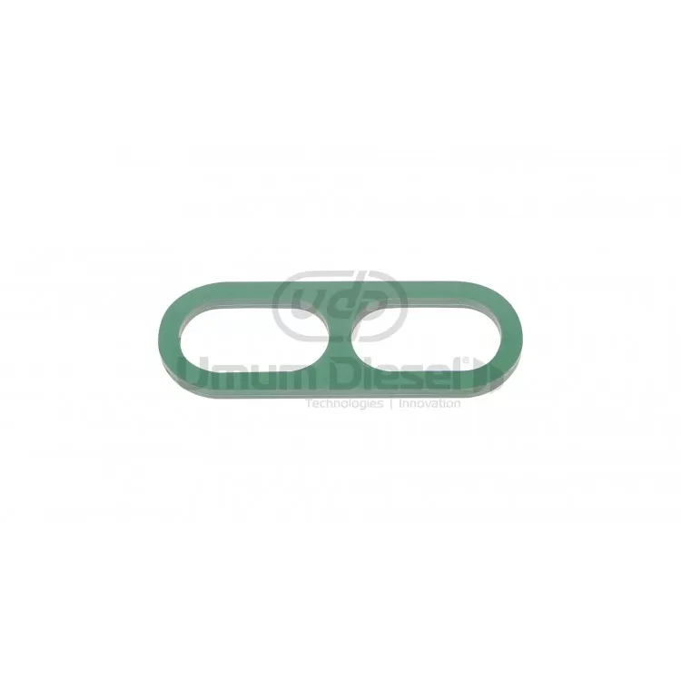 Delphi Common Rail Pompa Oringi 9307-414A